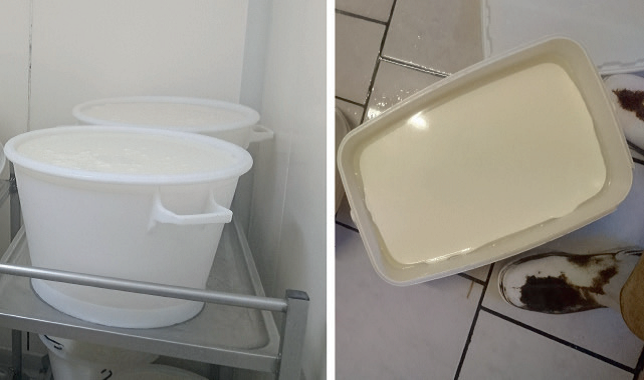 Matériel et techniques en fromagerie lactique – Comment choisir son bac ...